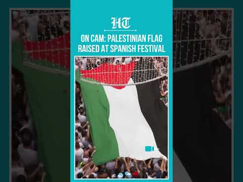Palestinian Flag Unfurled At Spain's 'La Tomatina' Food Fight Festival ...