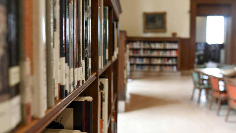 CAO offers: Did the points for your course go up? See all the first ...