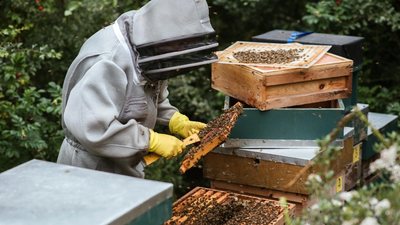 Offbeat hobbies that bring in real cash