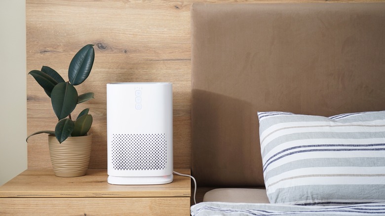 How To Get Rid Of Dust In The Air
