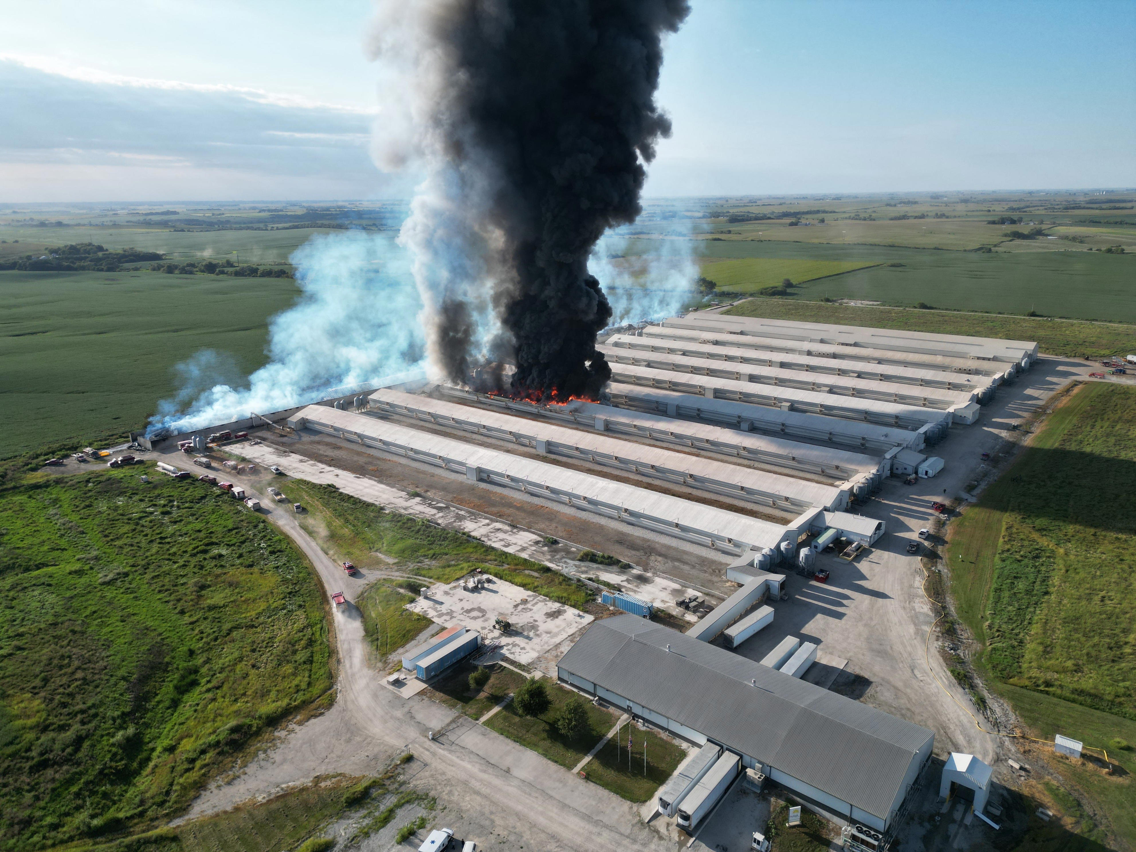 Fire at Iowa chicken farm kills more than 100,000 birds, draws over 100 ...