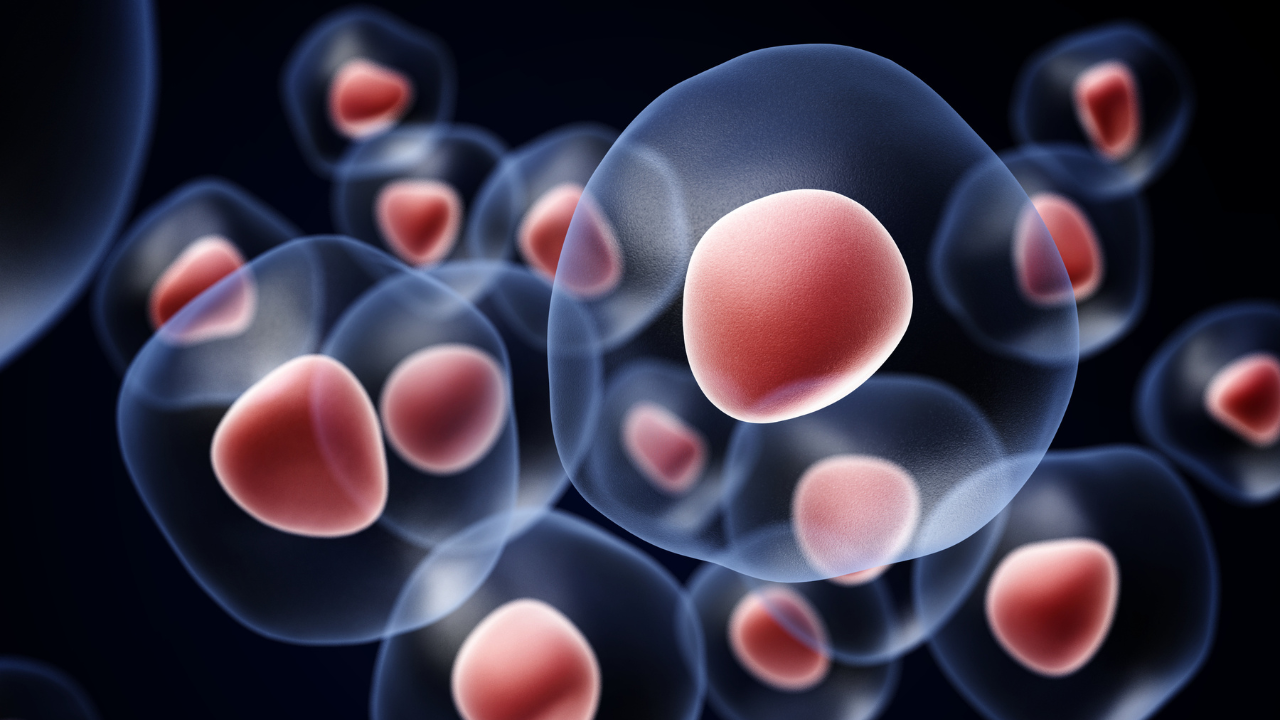 Human Cells Can 'Come Back' From The Brink of Death, Scientists Share ...