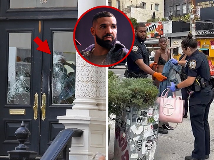 Woman Seen Smashing Up Drake's OVO Store in New York City, on Video
