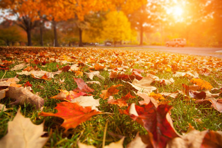 When is the first day of fall for 2025?
