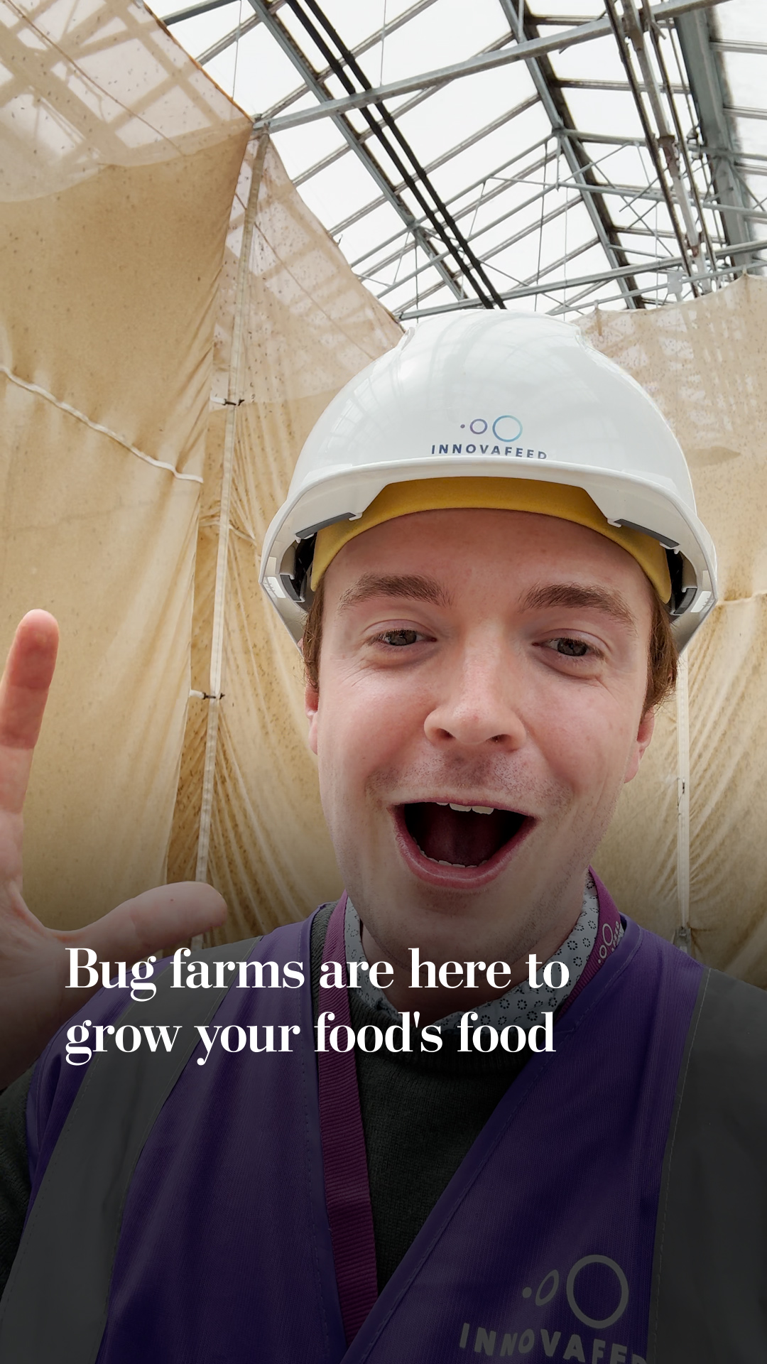 Bug farms are here to grow your food's food