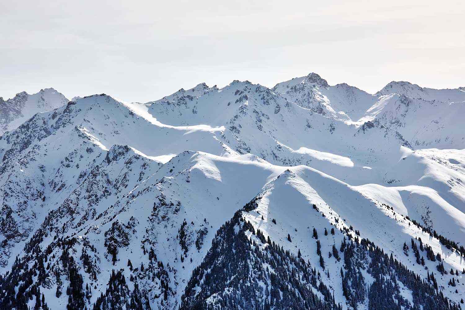 Mom Broke Leg While Climbing Snowy Mountain. 2 Weeks Later, All ...