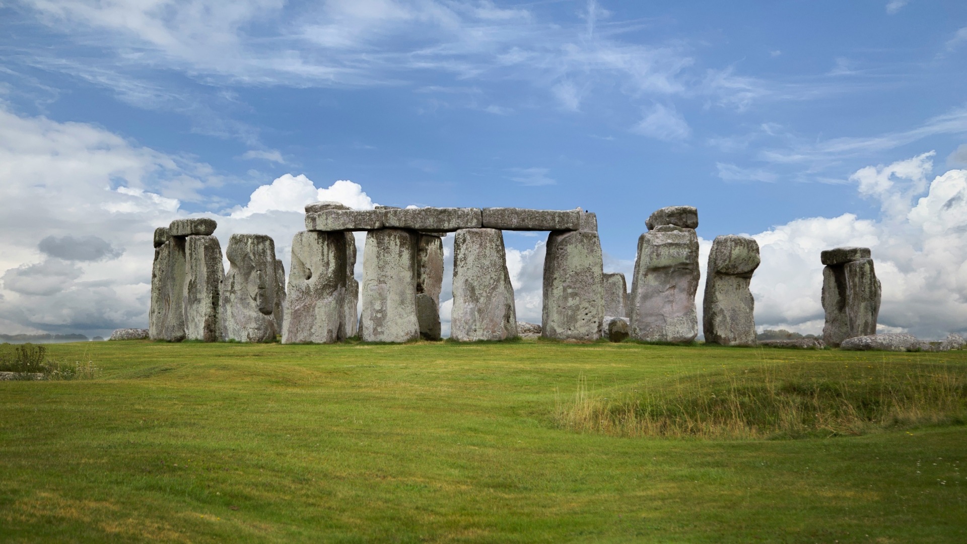 Comment la découverte d'une dent de vache vieille de 5.000 ans ...