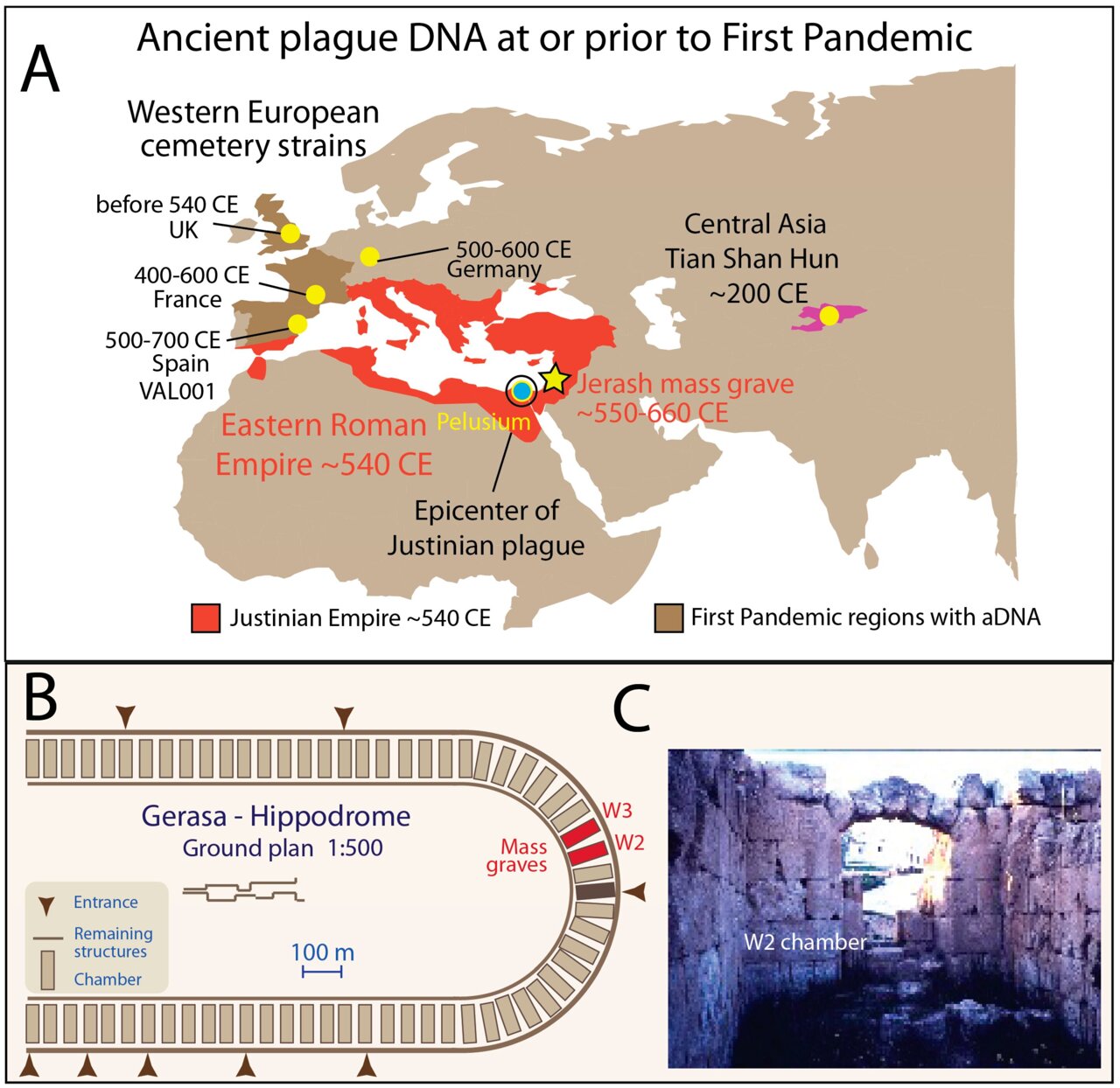 Ancient DNA solves Plague of Justinian mystery to rewrite pandemic history