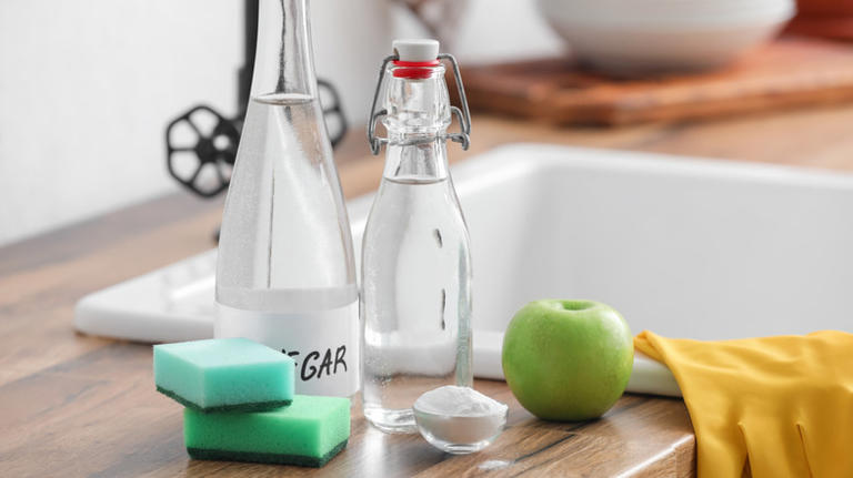 This Vinegar DIY Is The Best Way To Clean Your Garbage Disposal