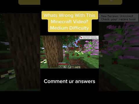 Whats Wrong With This Minecraft Video? Medium Difficulty #minecraft # ...