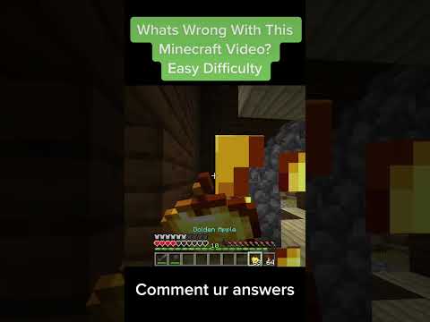 Whats Wrong With This Minecraft Video? Easy Difficulty #minecraft #puzzle #minecraftpuzzle #easy