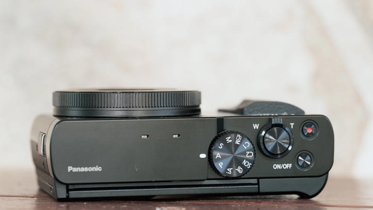 Panasonic Lumix DC-ZS99