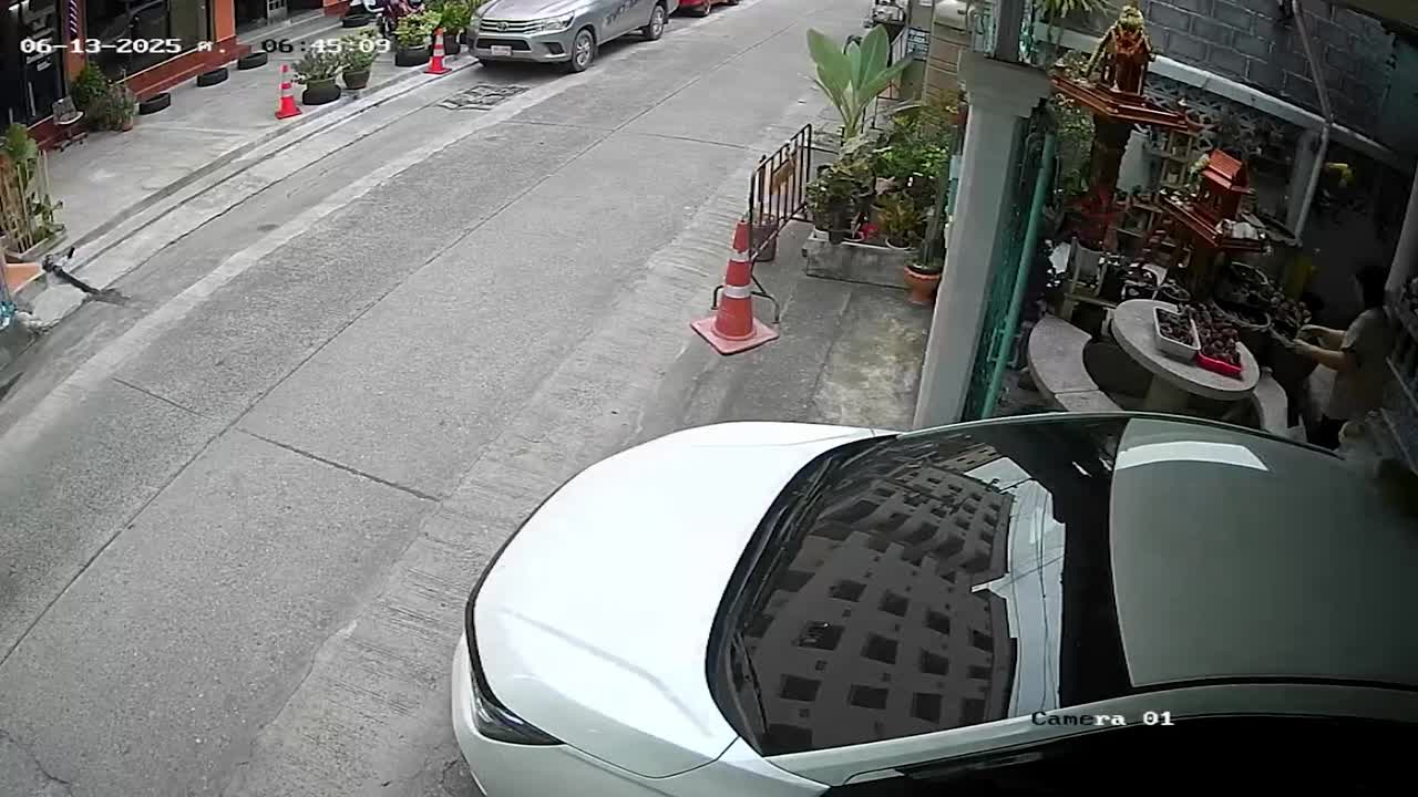 Passerby spots cat on car roof and kindly returns it home