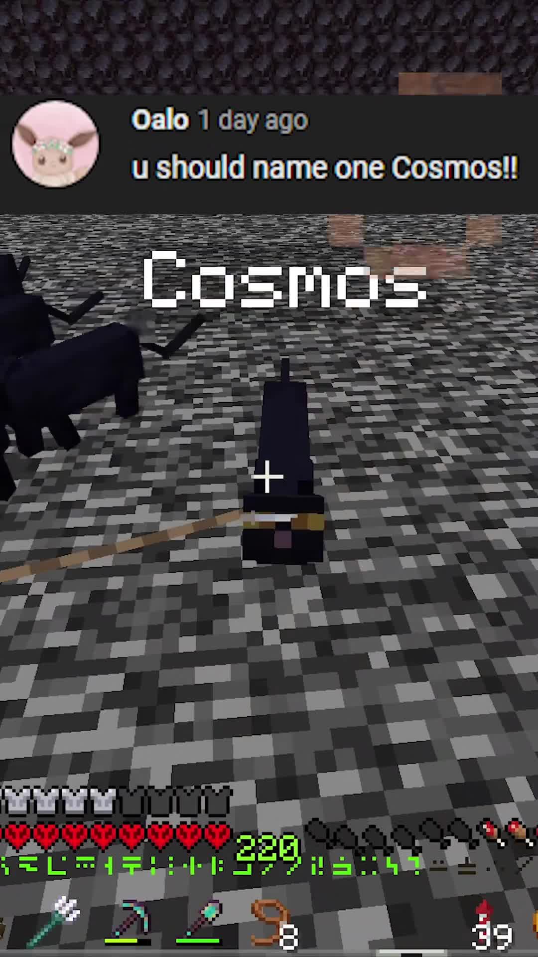 NAMING CATS FROM COMMENTS PT2!! #minecraft #minecraftfarm #cats