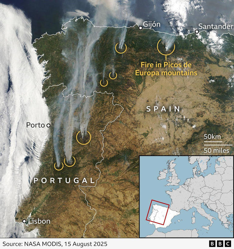 EU faces worst wildfire season on record