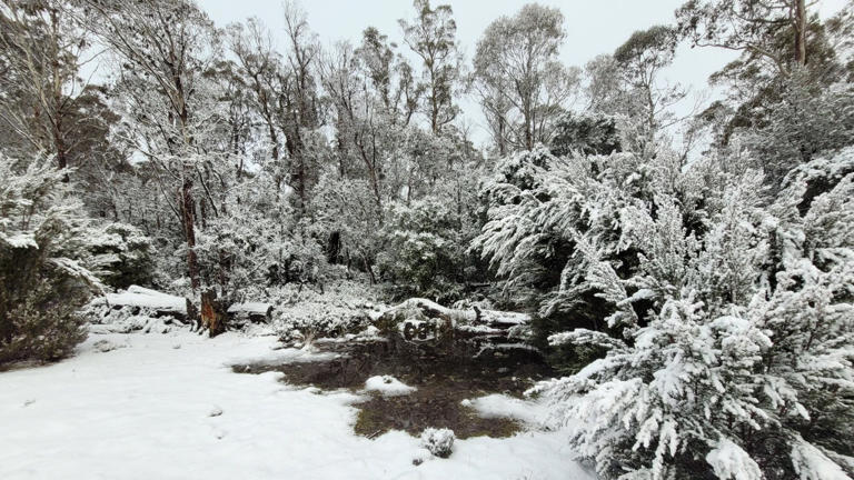 ‘Visual reminder’: Overdose Remembrance Day honored at Jastro Park