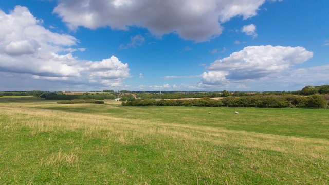Photographer captures stunning image of seldom-seen creature at nature ...