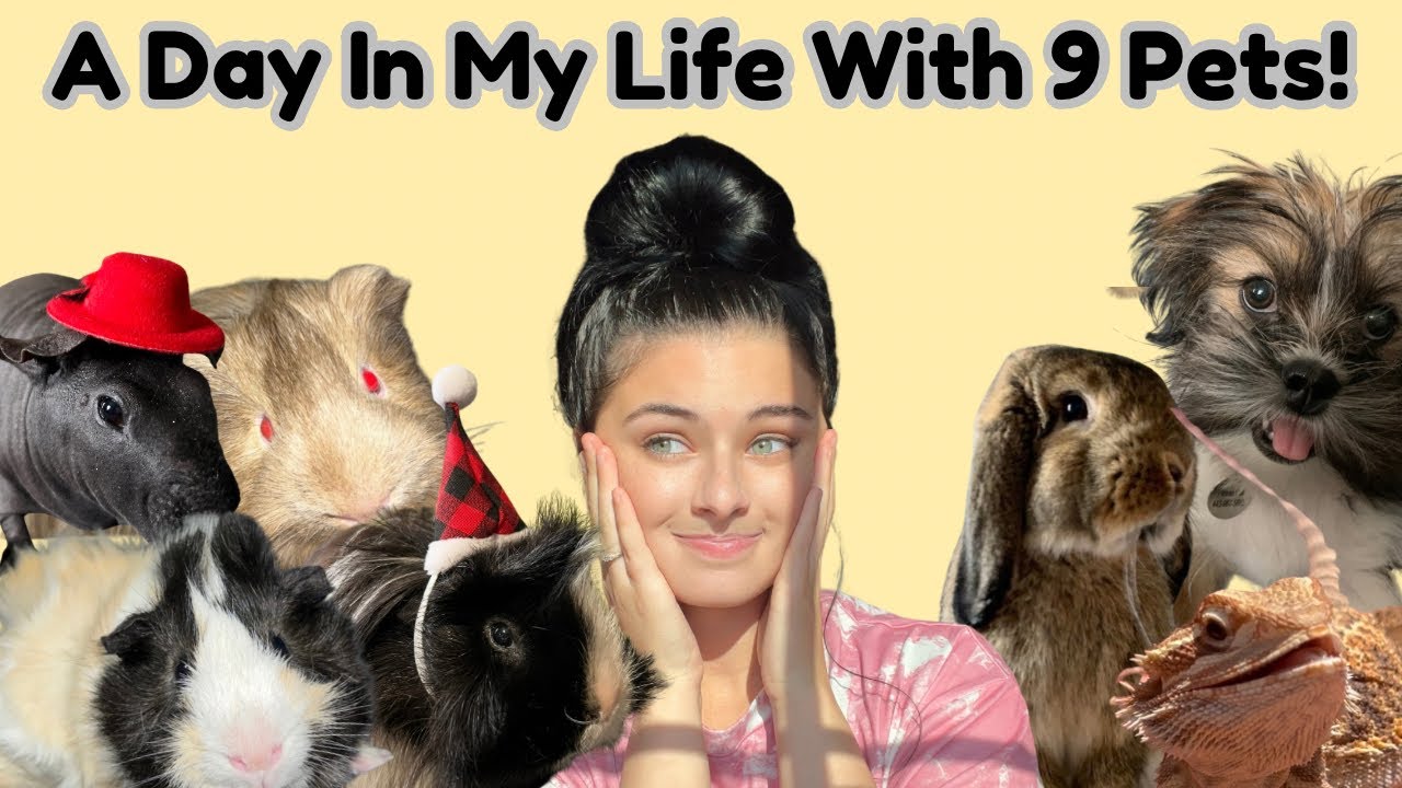 A Day in My Life With 9 Pets | Daily Routine & Fun Moments