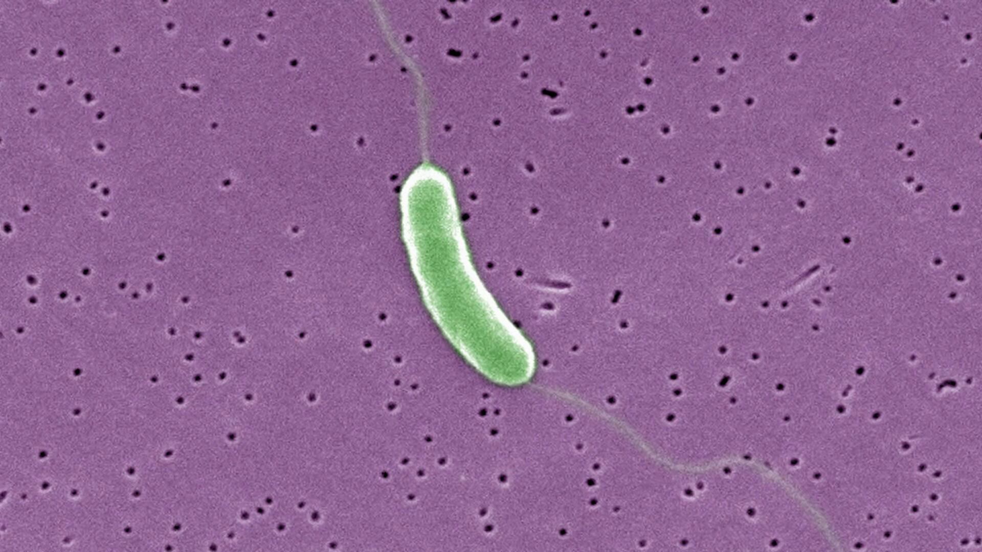 Cases of flesh-eating bacteria on the rise; what you should know