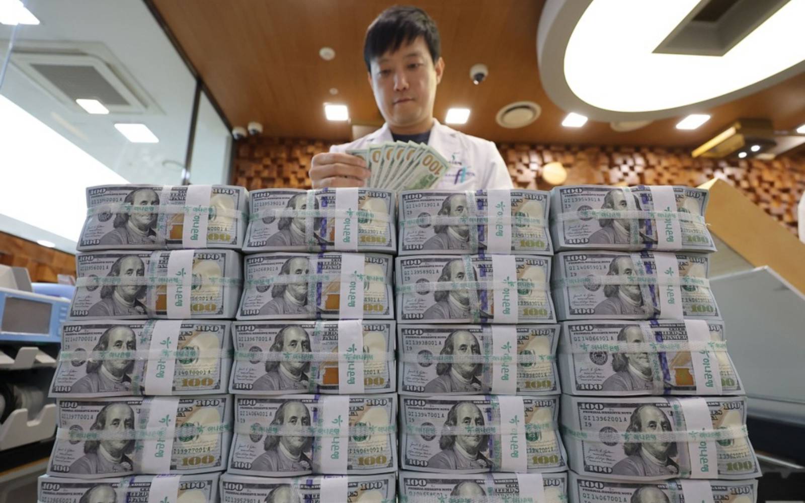Dollar at 13-month high as rate hike bets, stock rout boost demand