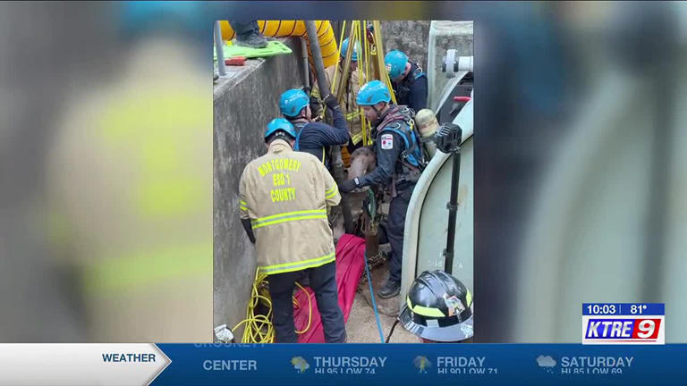 Timeline explains how 3 men died from toxic gas in Trinity County