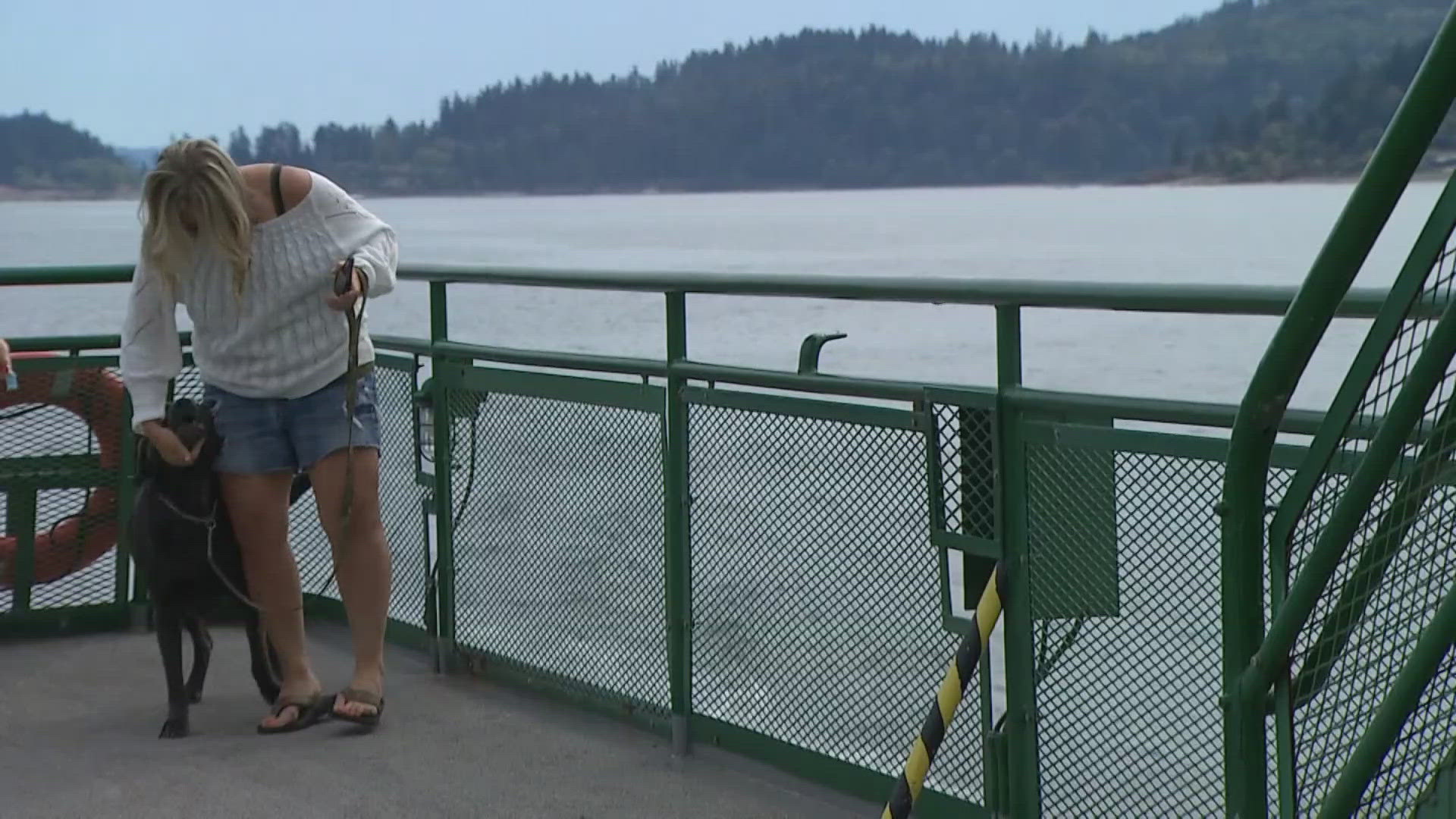 Washington State Ferries launches trial program allowing leashed dogs ...