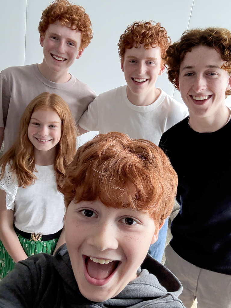 Harry Potter TV series finds its Weasley family