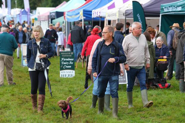 Community agricultural show set to return to Alresford