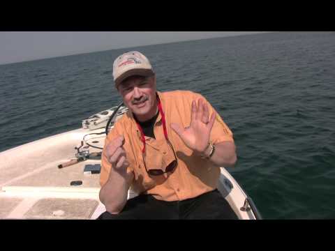 How To Tie a Drop Shot Rig Using a Palomar Knot - With Bonus Drop Shot Tips