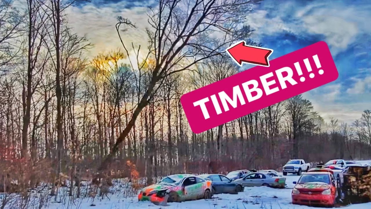 Dropping a Massive Tree on a Car – Total Wreck!