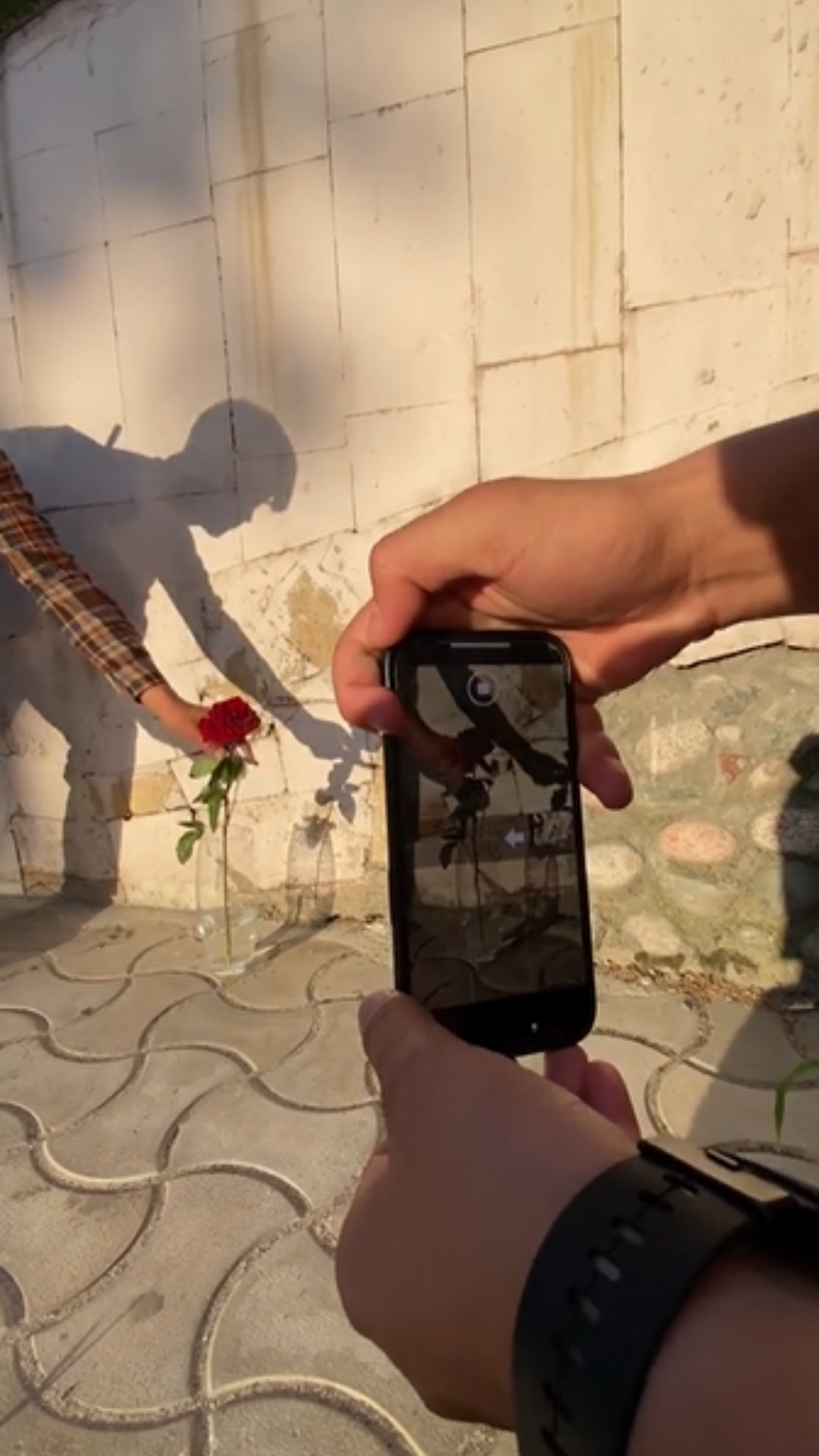 Stunning Flower Object in Focus