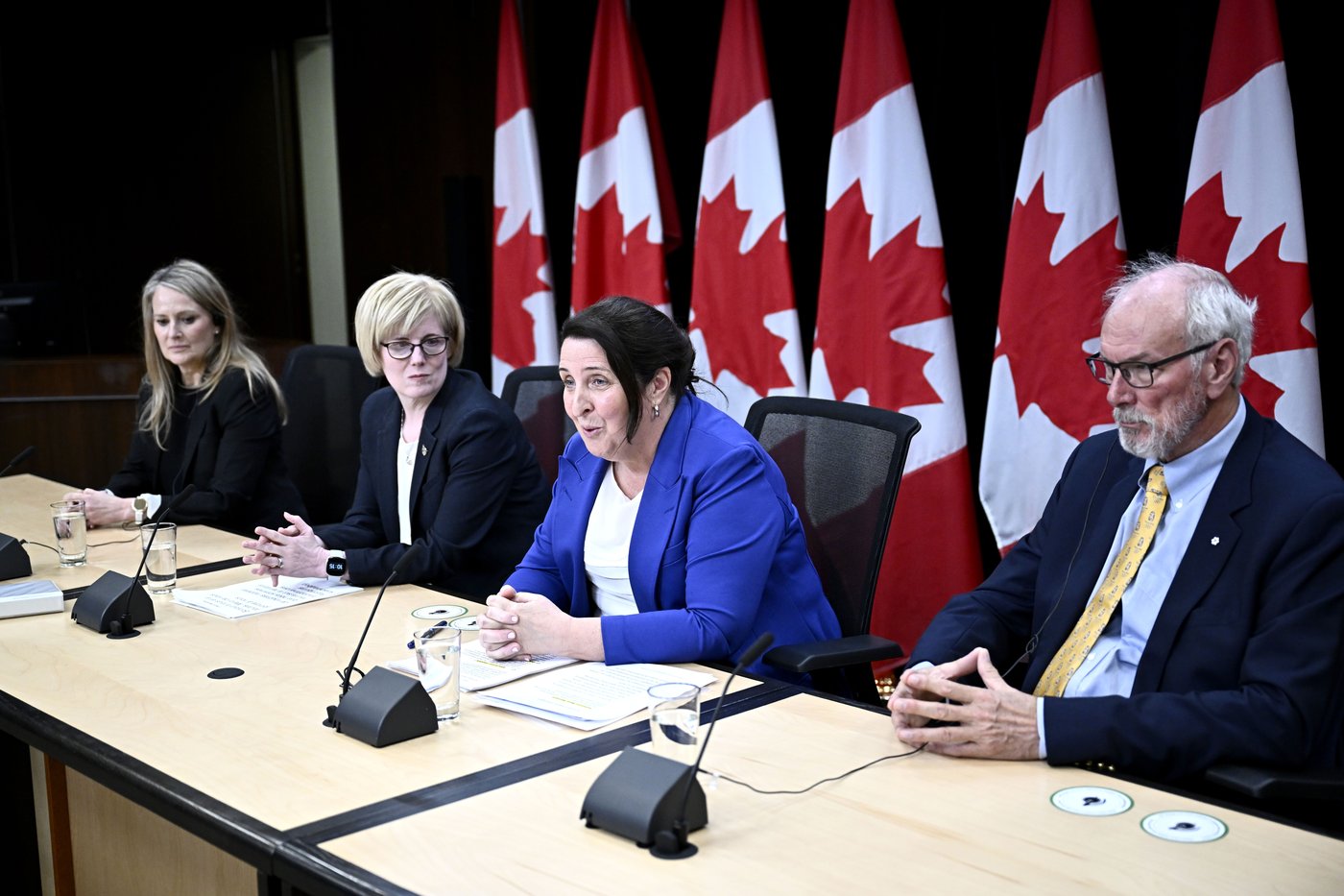 Future of Sport in Canada Commission to deliver first report on athlete ...