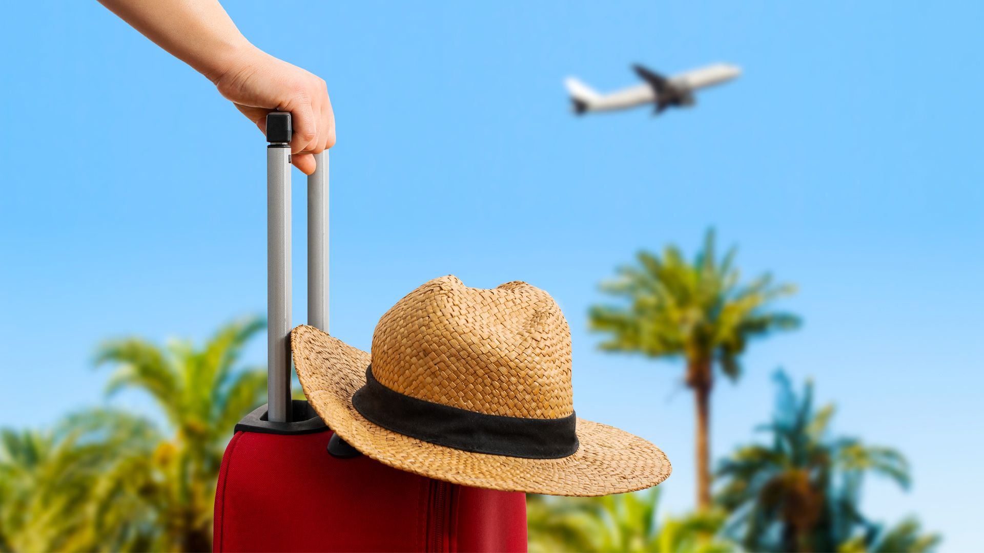 I Always Book My Flights At The Last Minute, And I Always Find The Best ...