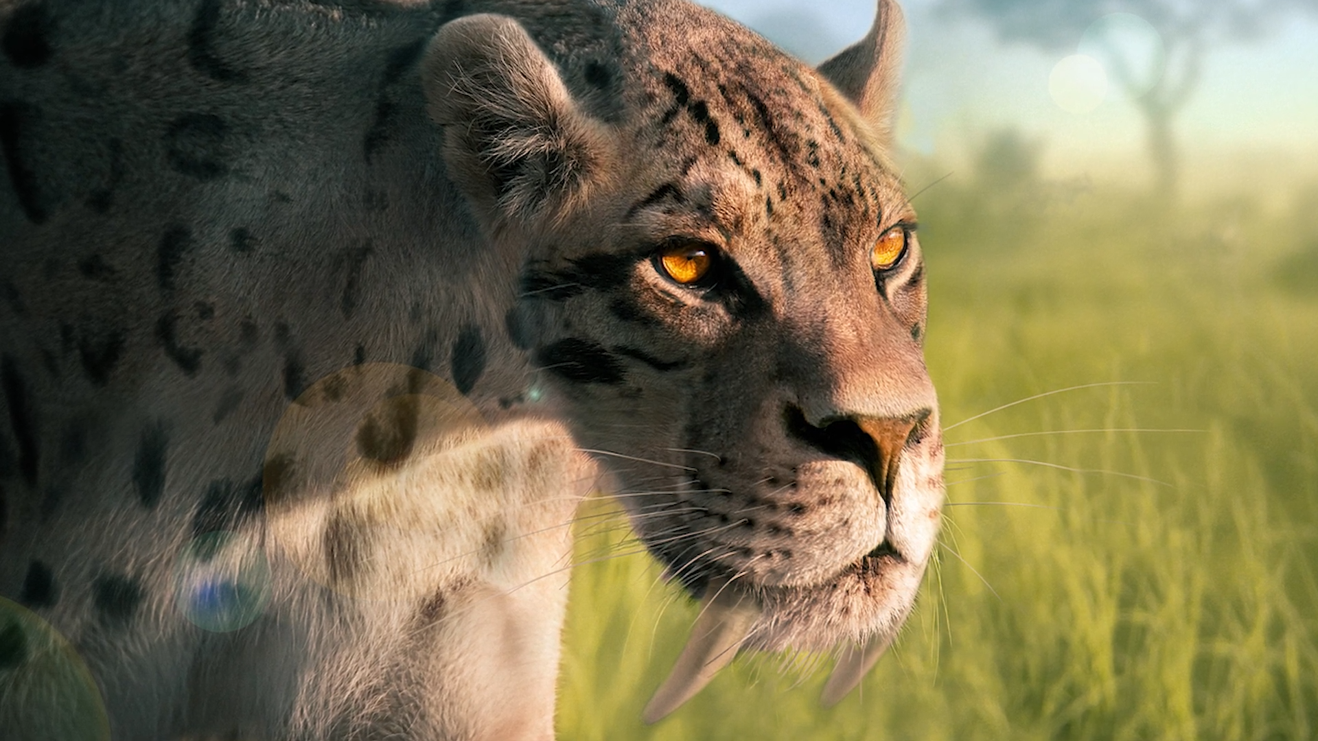 Sabre-Toothed Tigers – Predators of the Pleistocene