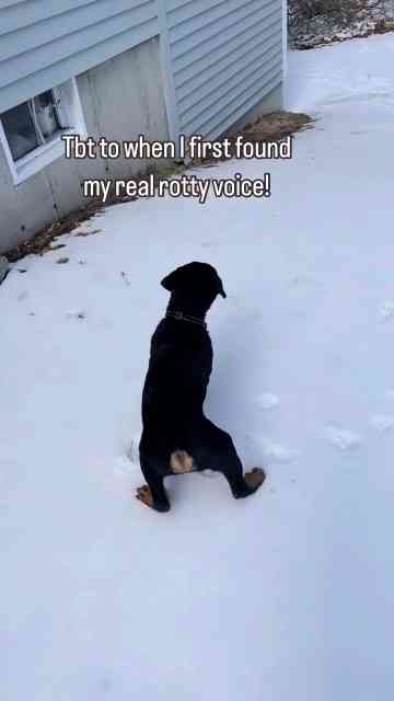 I Found My Big Boy Voice!