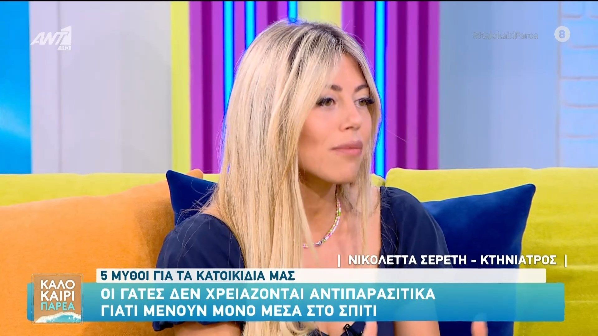 5 μύθοι για τα κατοικίδια μας – Καλοκαίρι Παρέα – 28/08/2025