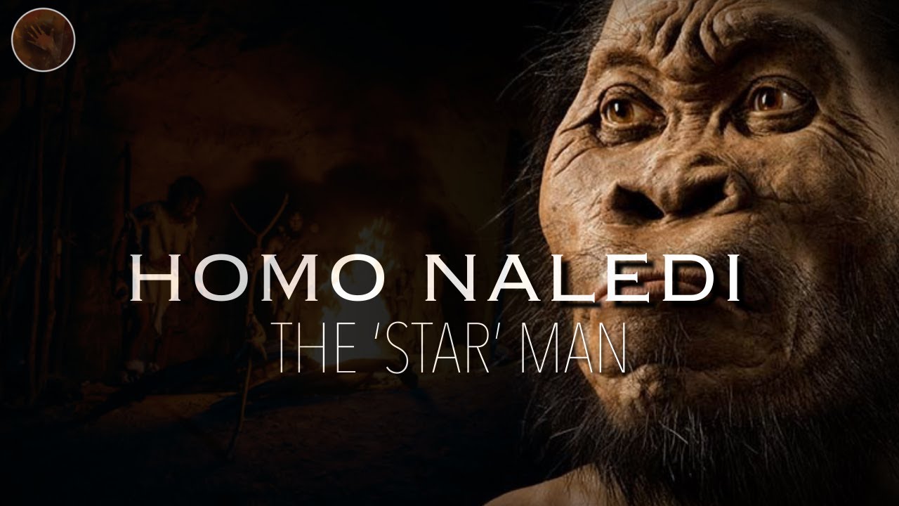 Homo Naledi: Discovery of a Mysterious Human Species