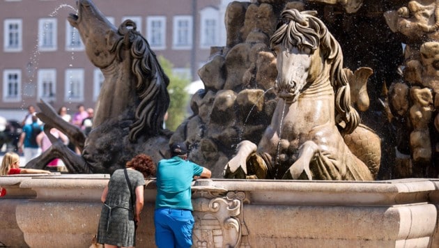 Beim Programmieren rutschte Wals ins Stadtgebiet