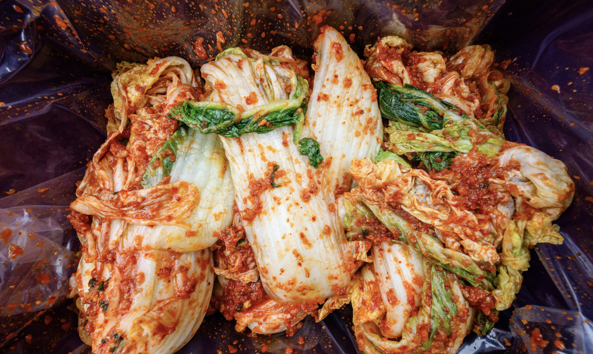 Fermented foods: from tradition to health trend