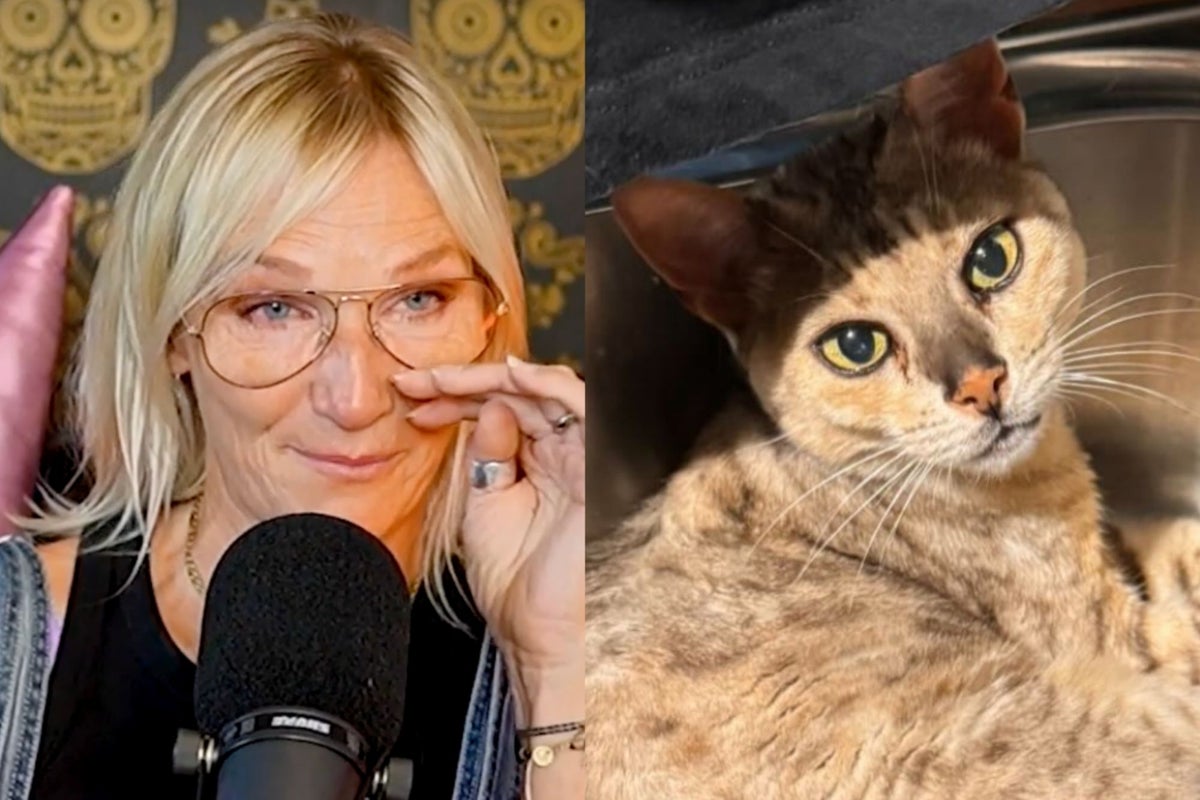 Jo Whiley breaks down in tears after husband accidentally runs over family cat in tragic accident