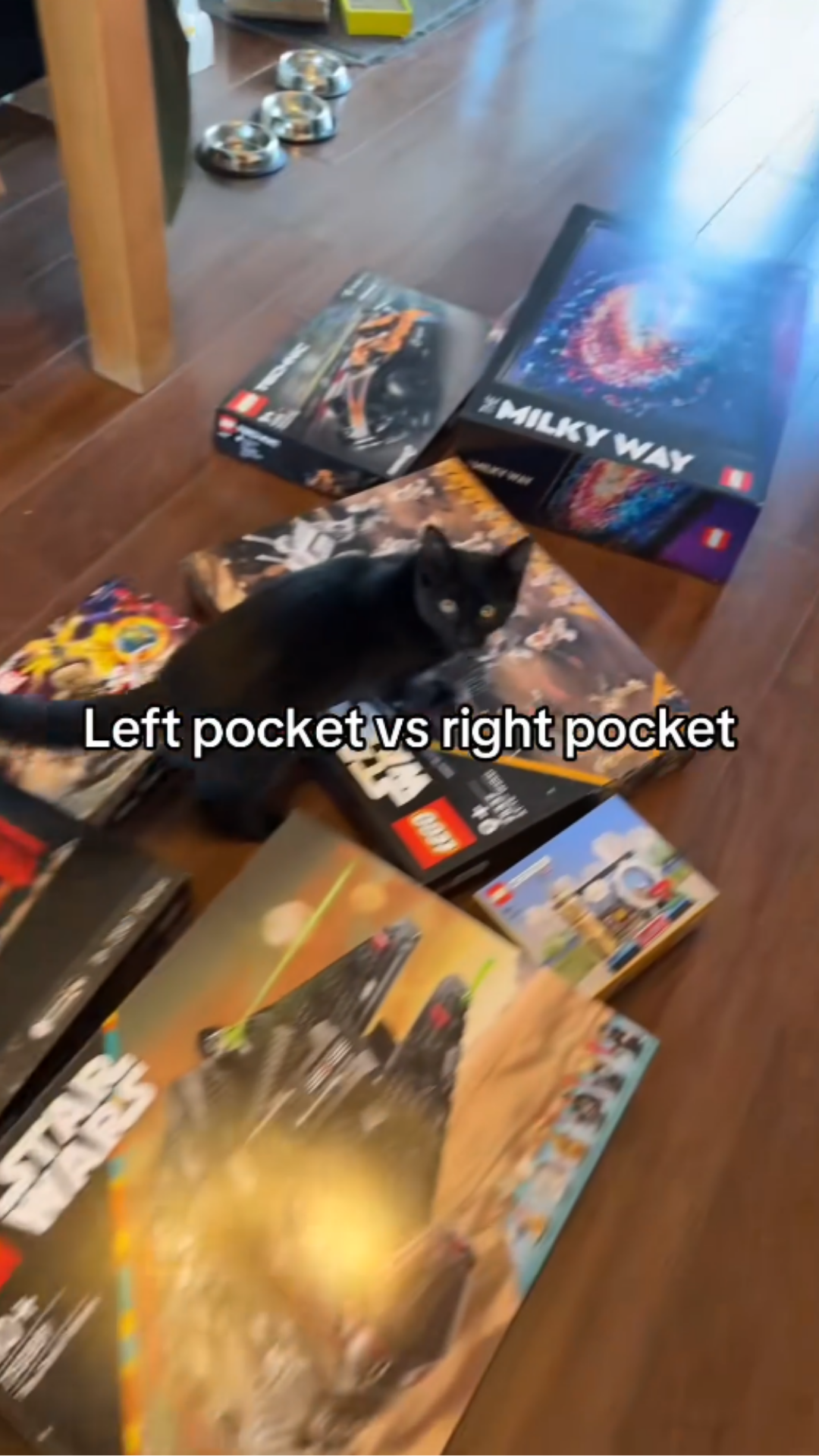 My Left Side vs Right Side… Wait, Where Did That Cat Come From?!