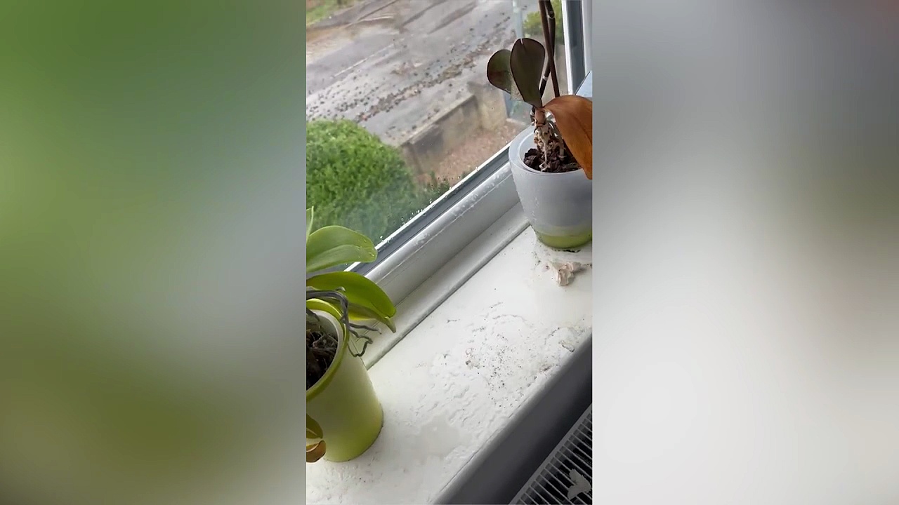 A landlord has been left with £10,000 worth of damage to his property ...
