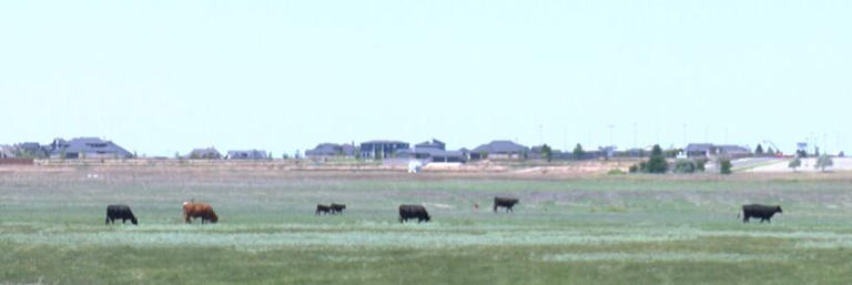 High Plains Water District gives update on water use in Randall County