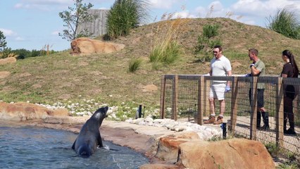 Classical music star Russell Watson meets sealions at Yorkshire ...