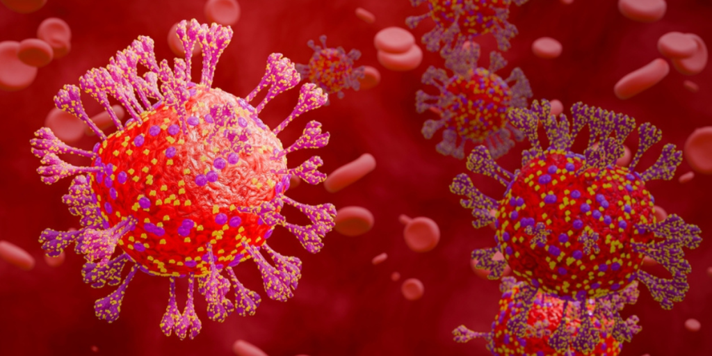 Nye fund af fugleinfluenza i Danmark: Smitten kan sprede sig