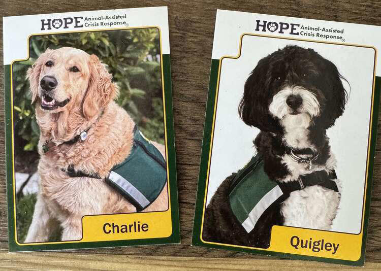 How Hope crisis response dogs are bringing healing after Kerr County floods