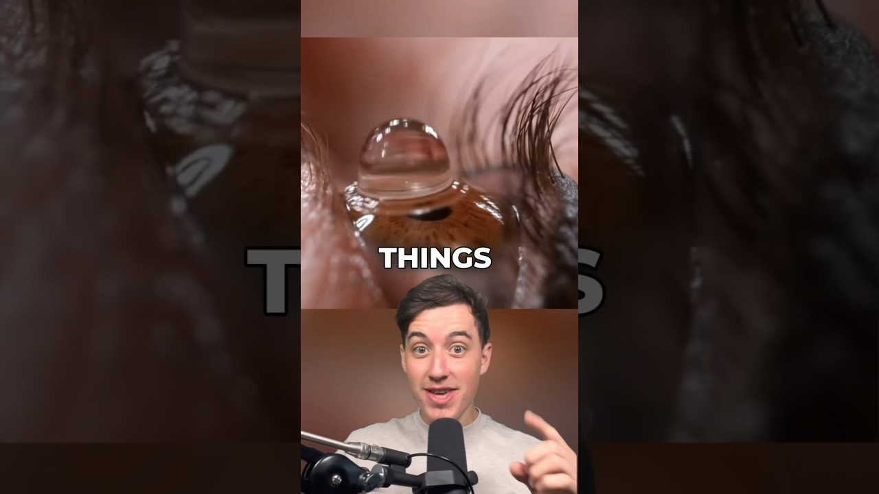 A look at the mechanisms behind everyday objects