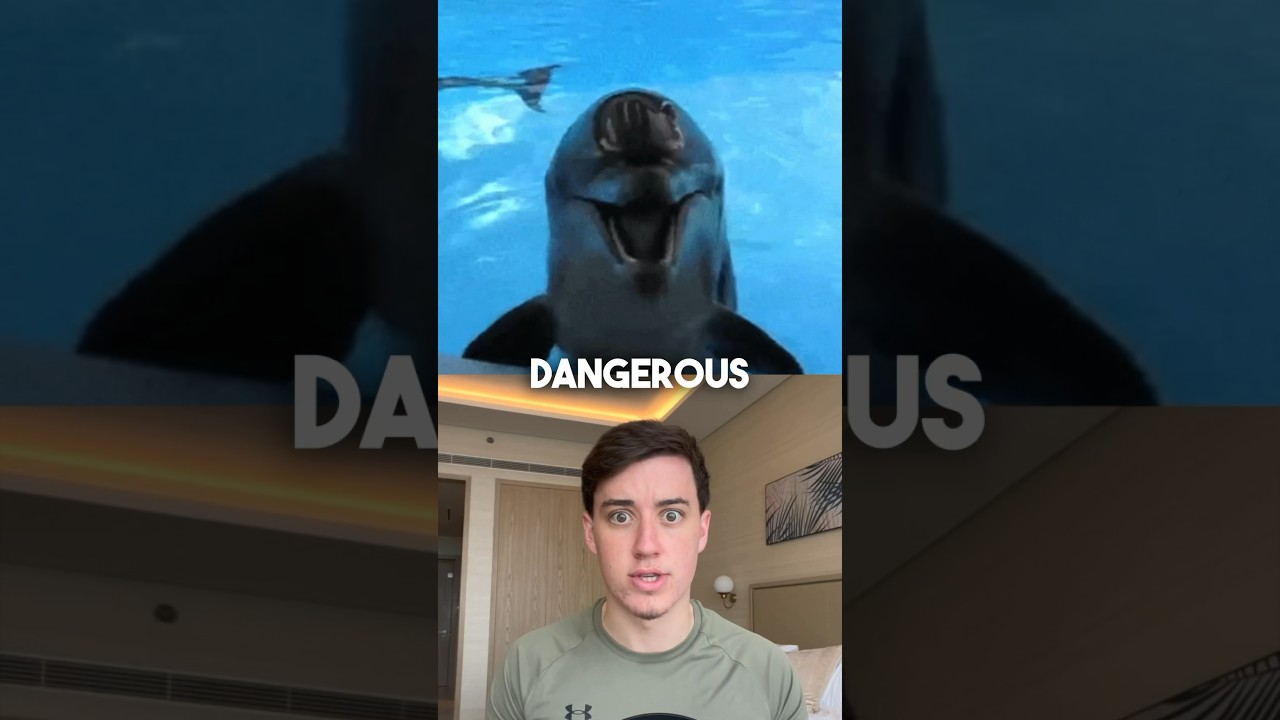 Cute animals that are surprisingly dangerous in nature