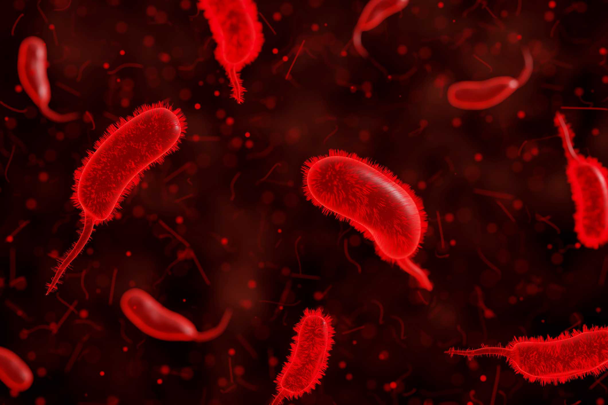 Flesh-eating bacteria cases rise in Florida waters, CDC says