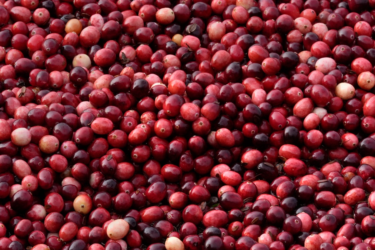 What to know about cranberries produced for Thanksgiving and the bogs ...